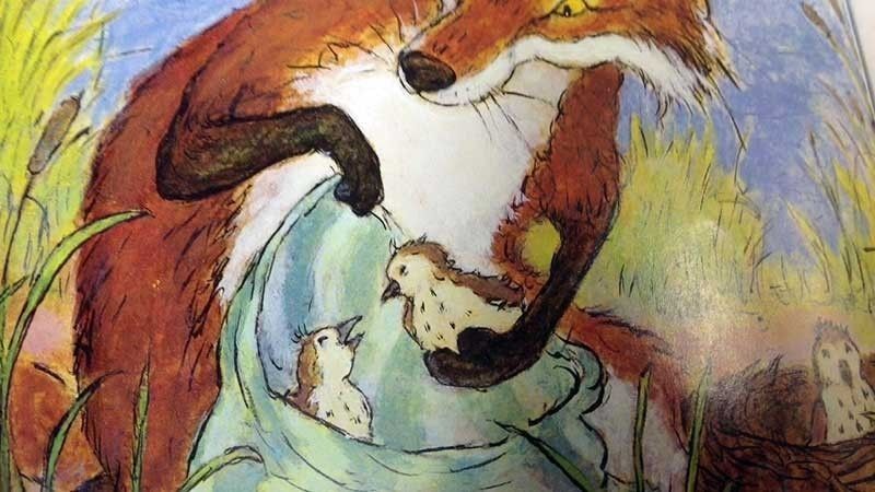 The Fox and the Gulls - LimaEasy