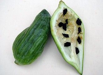 Caihua (Caigua) - LimaEasy